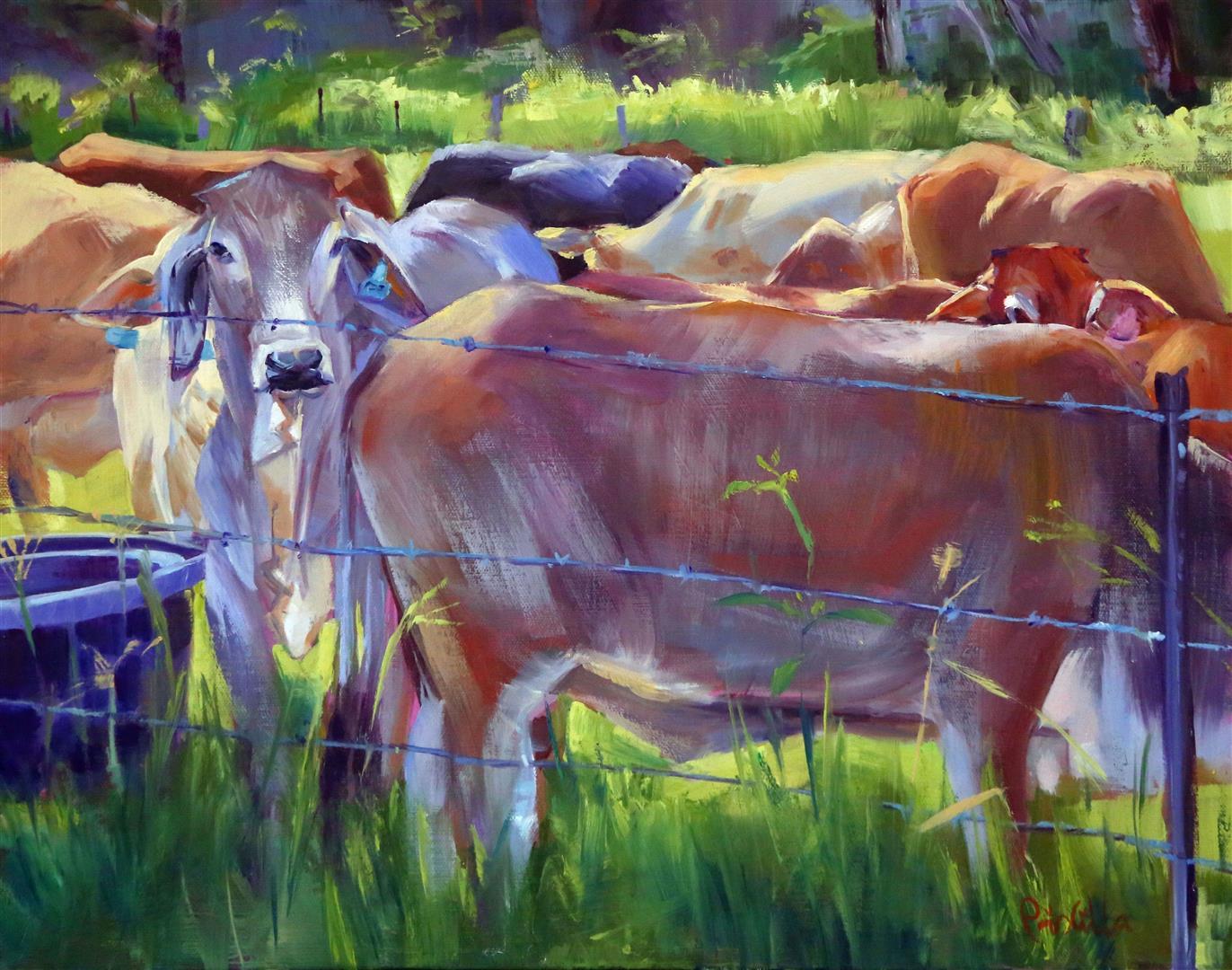 All the Cows 3
